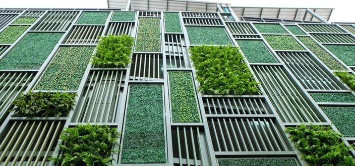 Benefits of creating a sustainable & green workplace