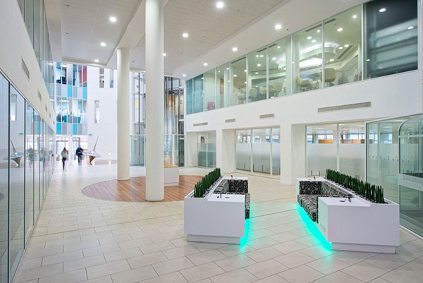 Innovation in the office: Real life examples of innovative workplace design